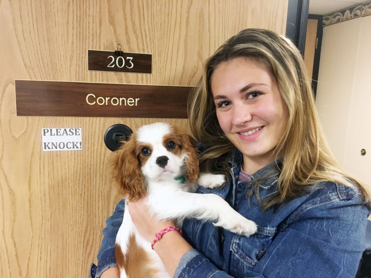 This pup lends emotional support - Observer-Reporter